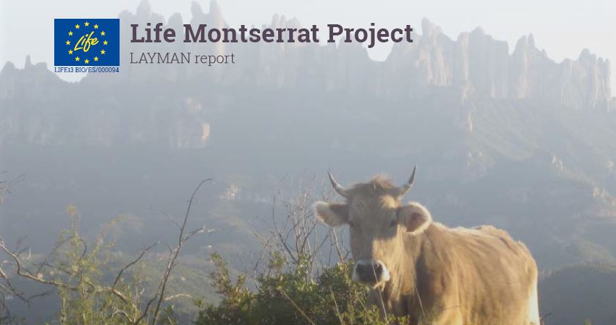 Layman’s Report | Life Montserrat